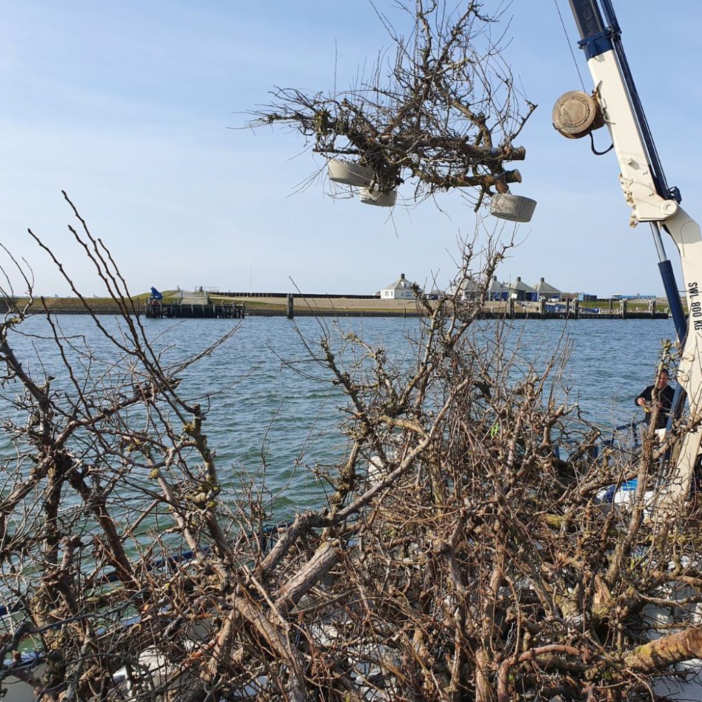 Offshore Test Site - The Rich North Sea