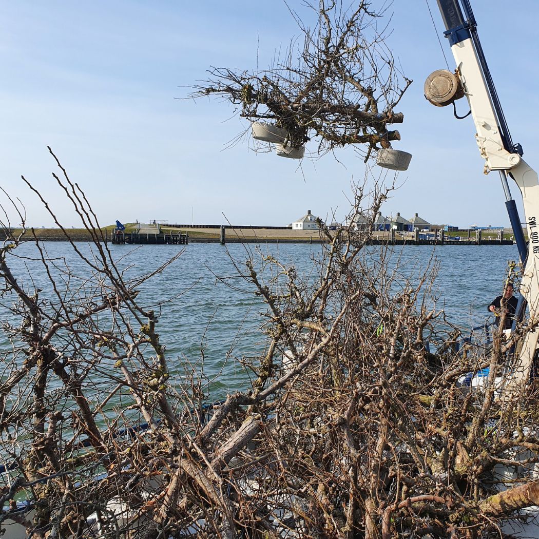 Offshore Test Site - The Rich North Sea