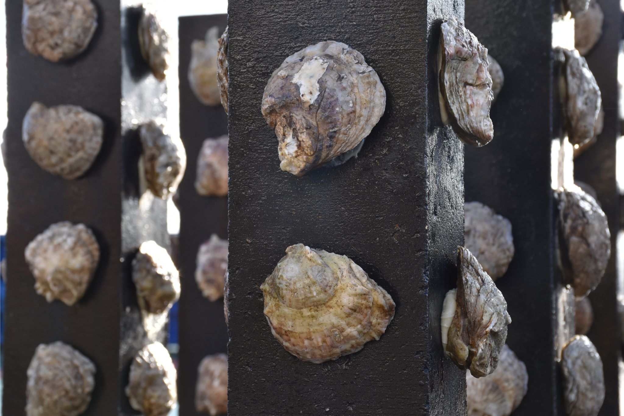 Nature Enhancements - Stand-alone structures