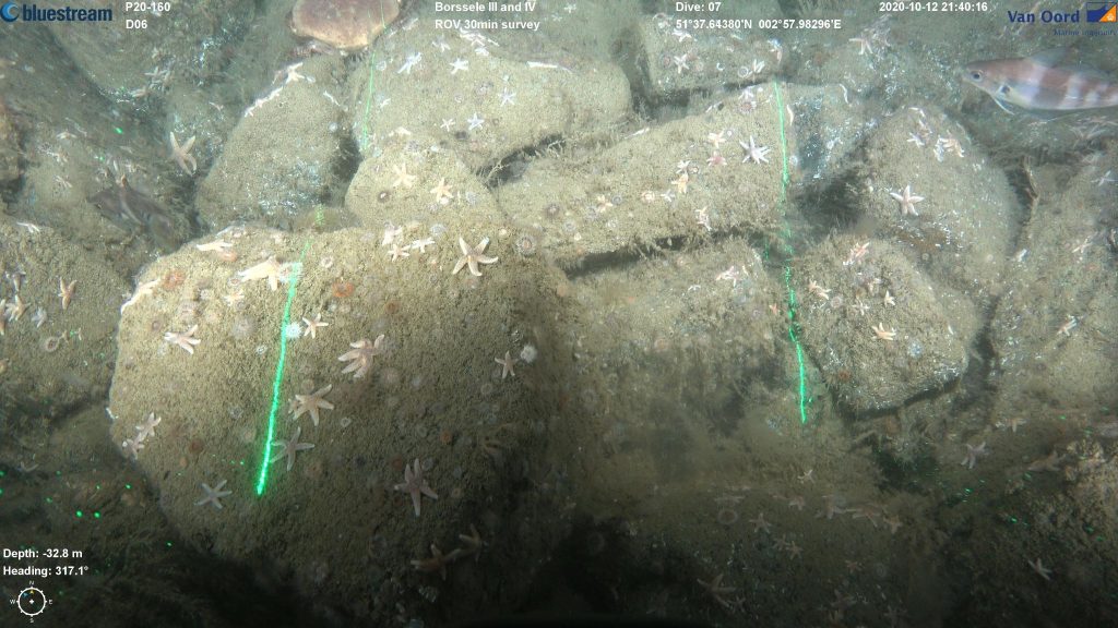 Nature enhancements - Scour and cable protection