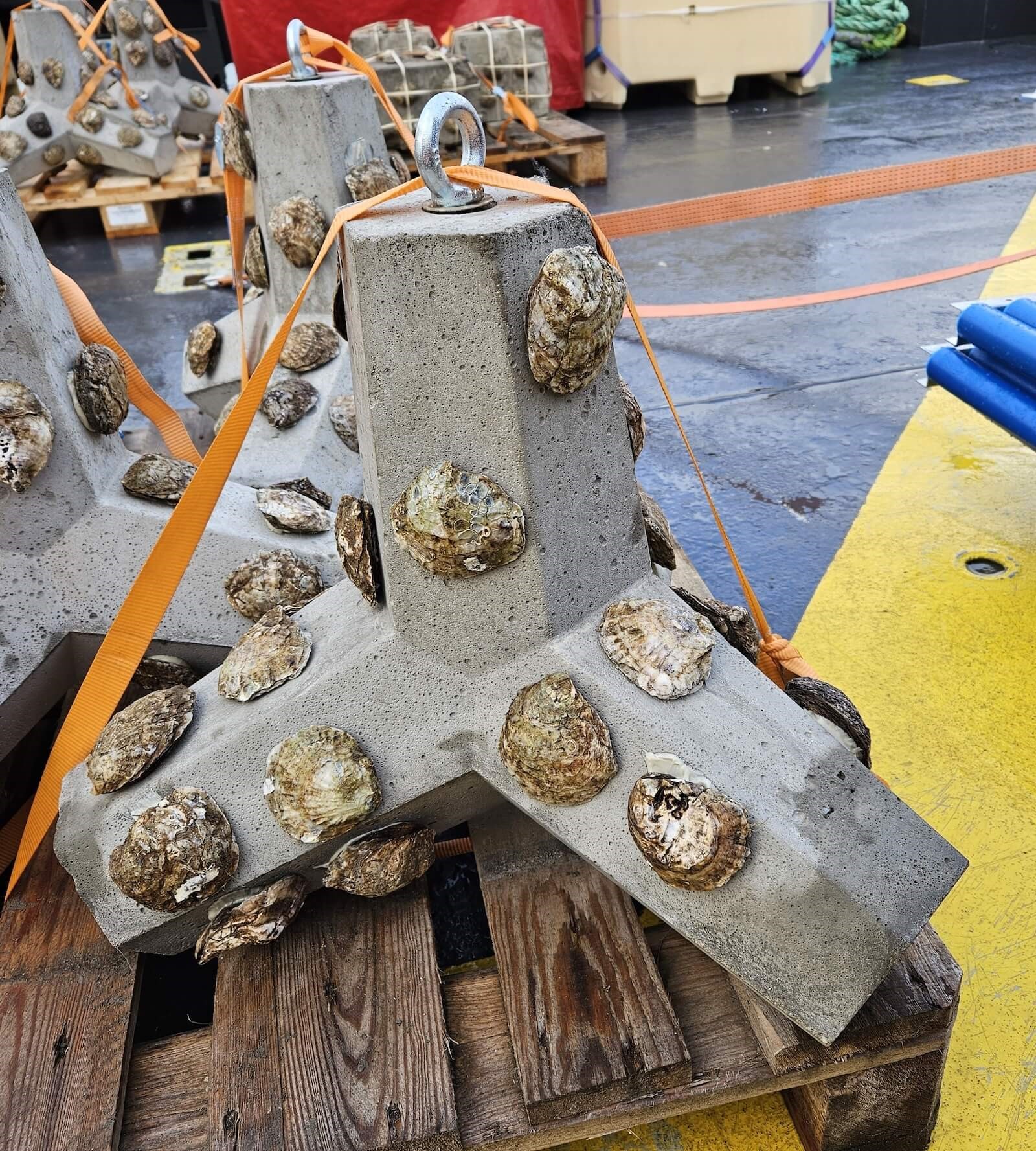 Droppable Oyster Structures in Borssele I/II - DRN